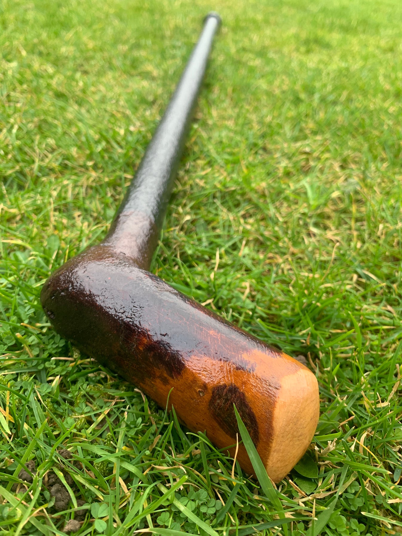 Authentic Irish Blackthorn Walking Stick | Shillelagh Cane – Kinsale Crafts
